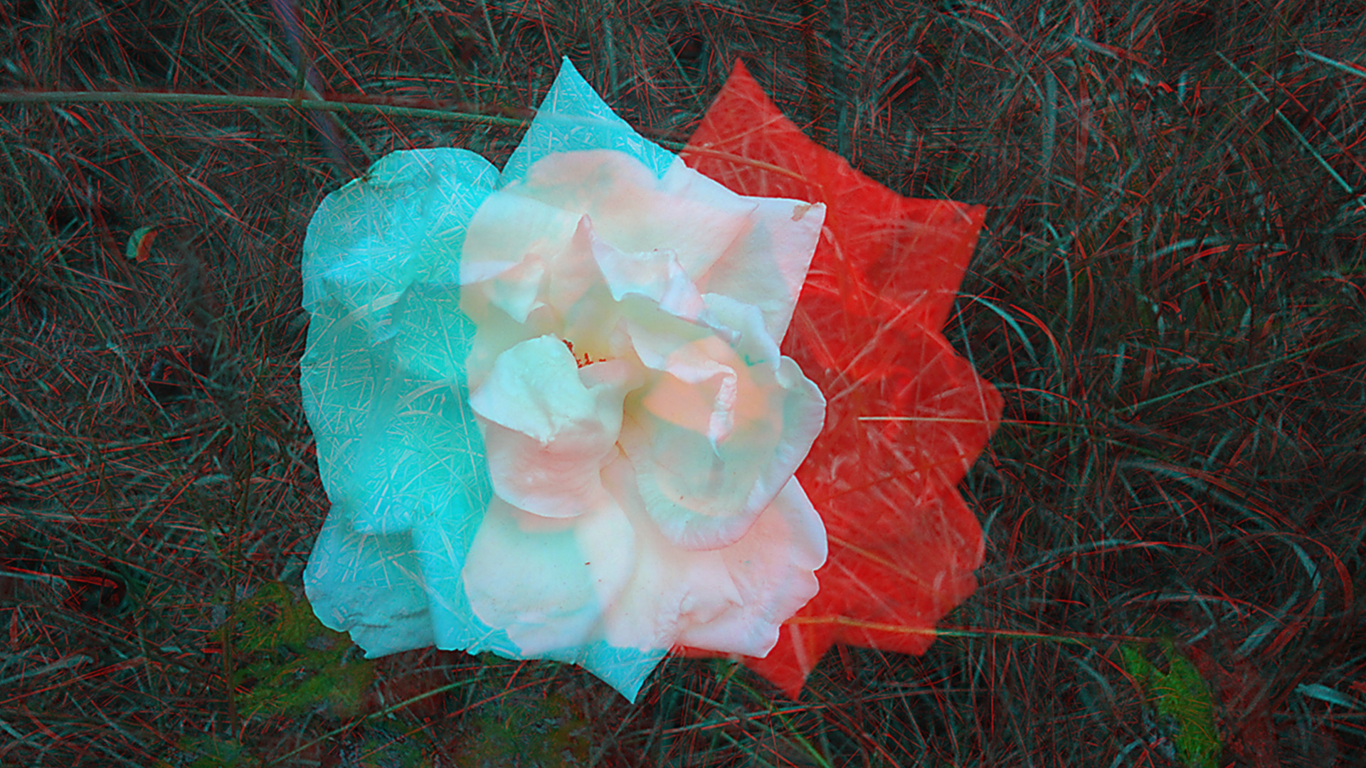 MPO (Nintendo 3DS / Fuji / Sony) to Anaglyph & Stereoscopic JPEG ...