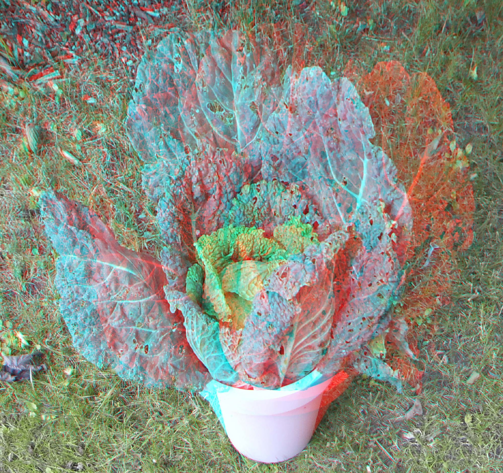 MPO (Nintendo 3DS / Fuji / Sony) to Anaglyph & Stereoscopic JPEG ...