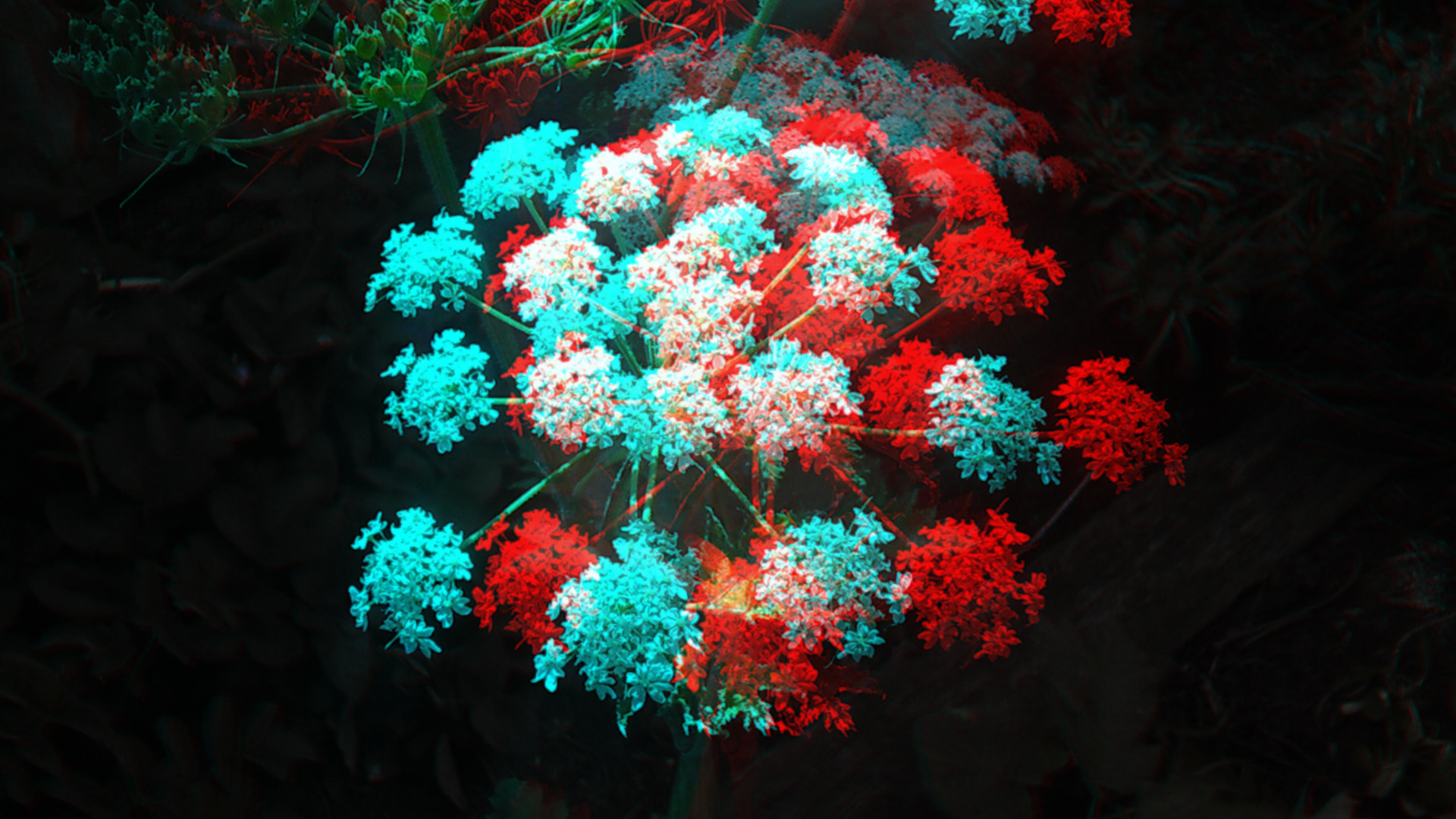 MPO (Nintendo 3DS / Fuji / Sony) to Anaglyph & Stereoscopic JPEG ...