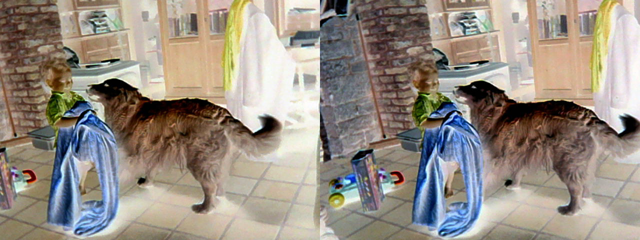 MPO (Nintendo 3DS / Fuji / Sony) to Anaglyph & Stereoscopic JPEG ...