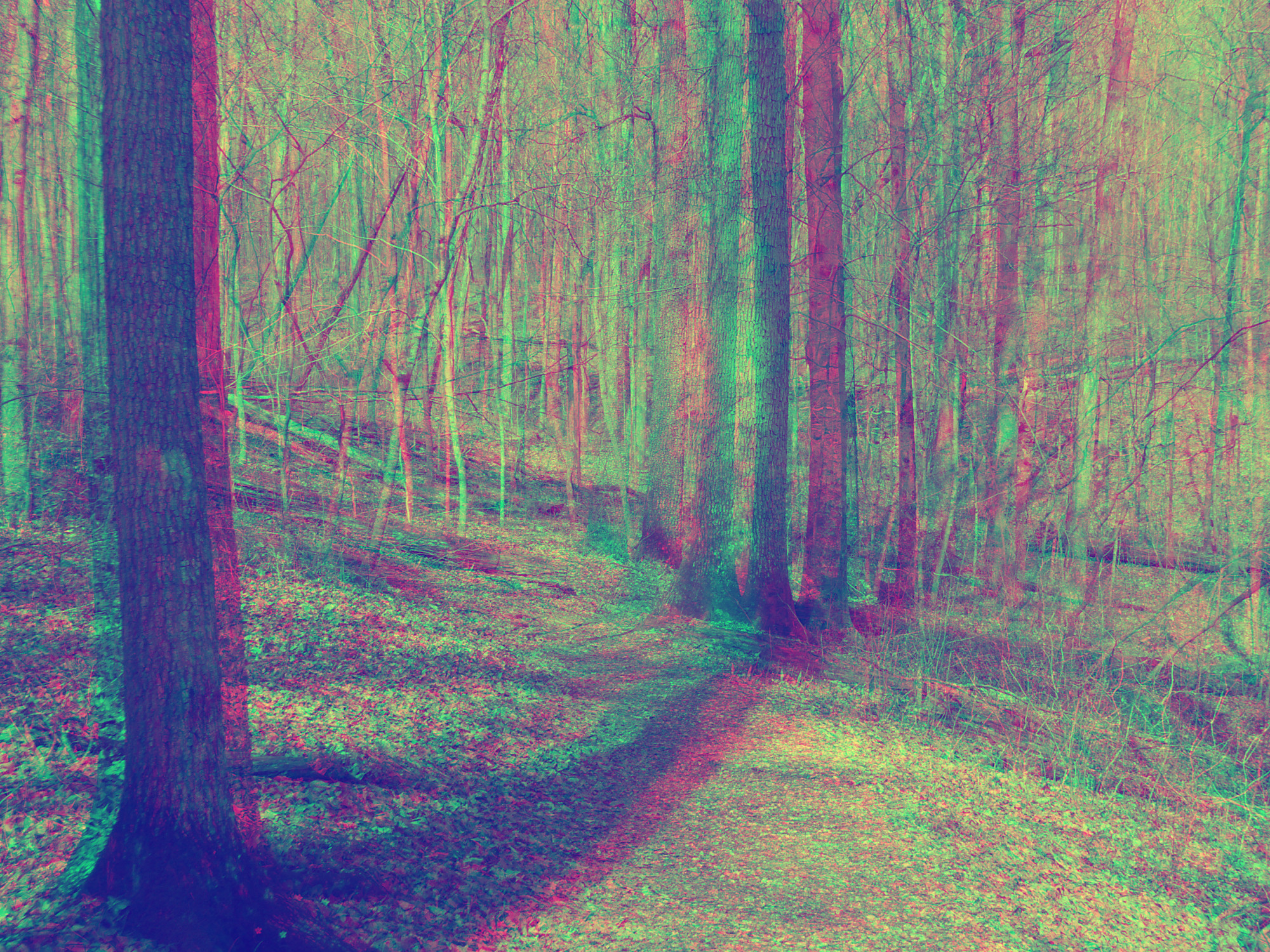 MPO (Nintendo 3DS / Fuji / Sony) to Anaglyph & Stereoscopic JPEG ...