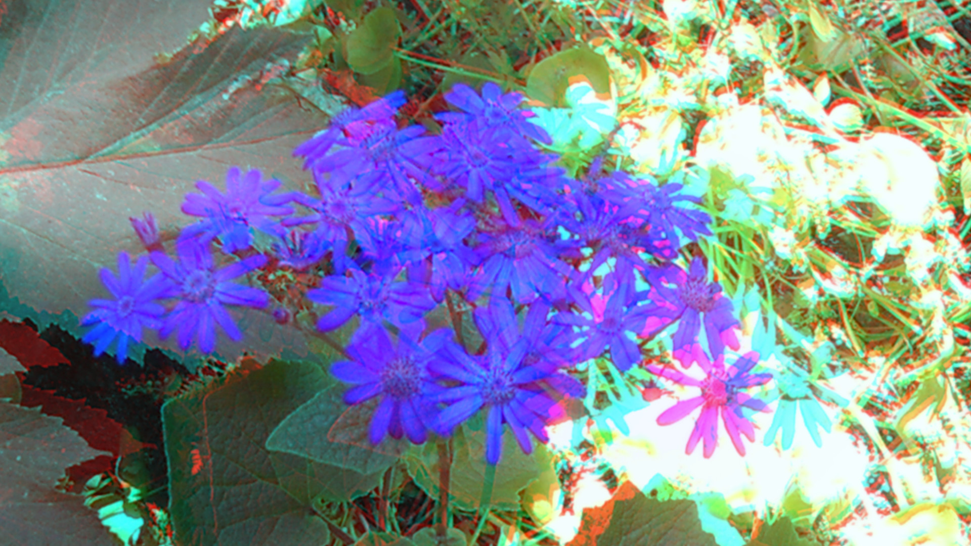 MPO (Nintendo 3DS / Fuji / Sony) to Anaglyph & Stereoscopic JPEG ...