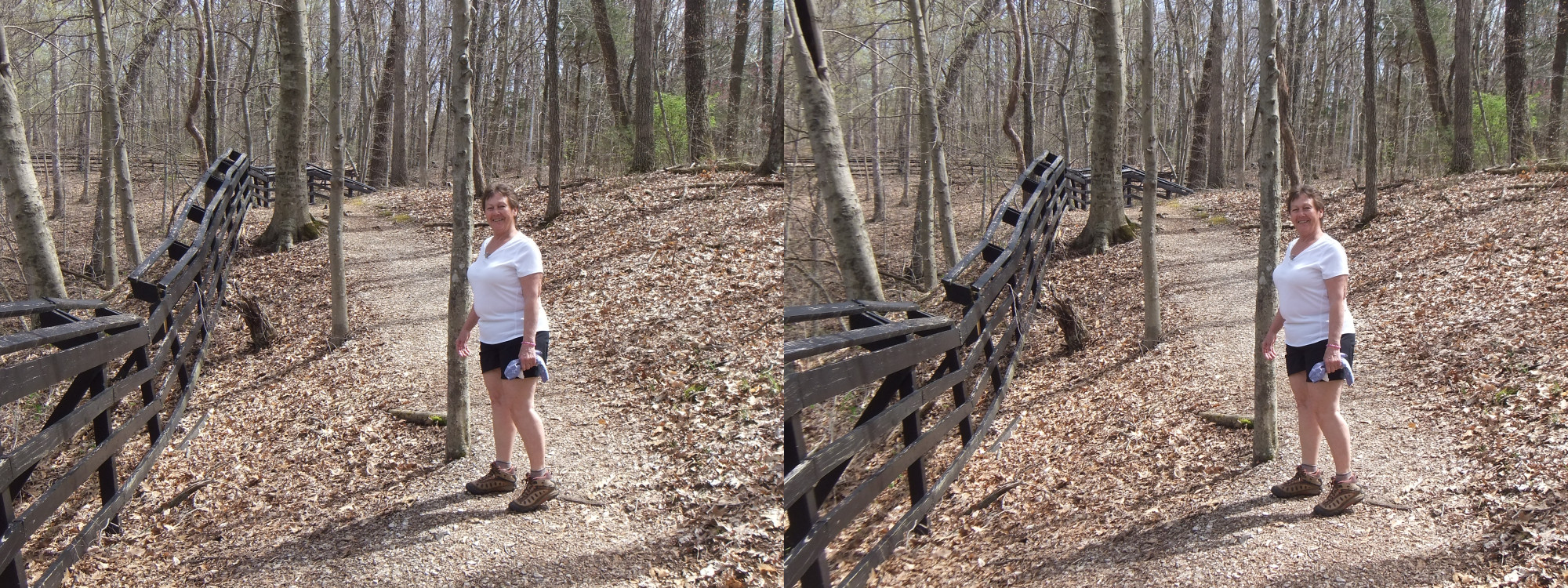 MPO (Nintendo 3DS / Fuji / Sony) to Anaglyph & Stereoscopic JPEG ...