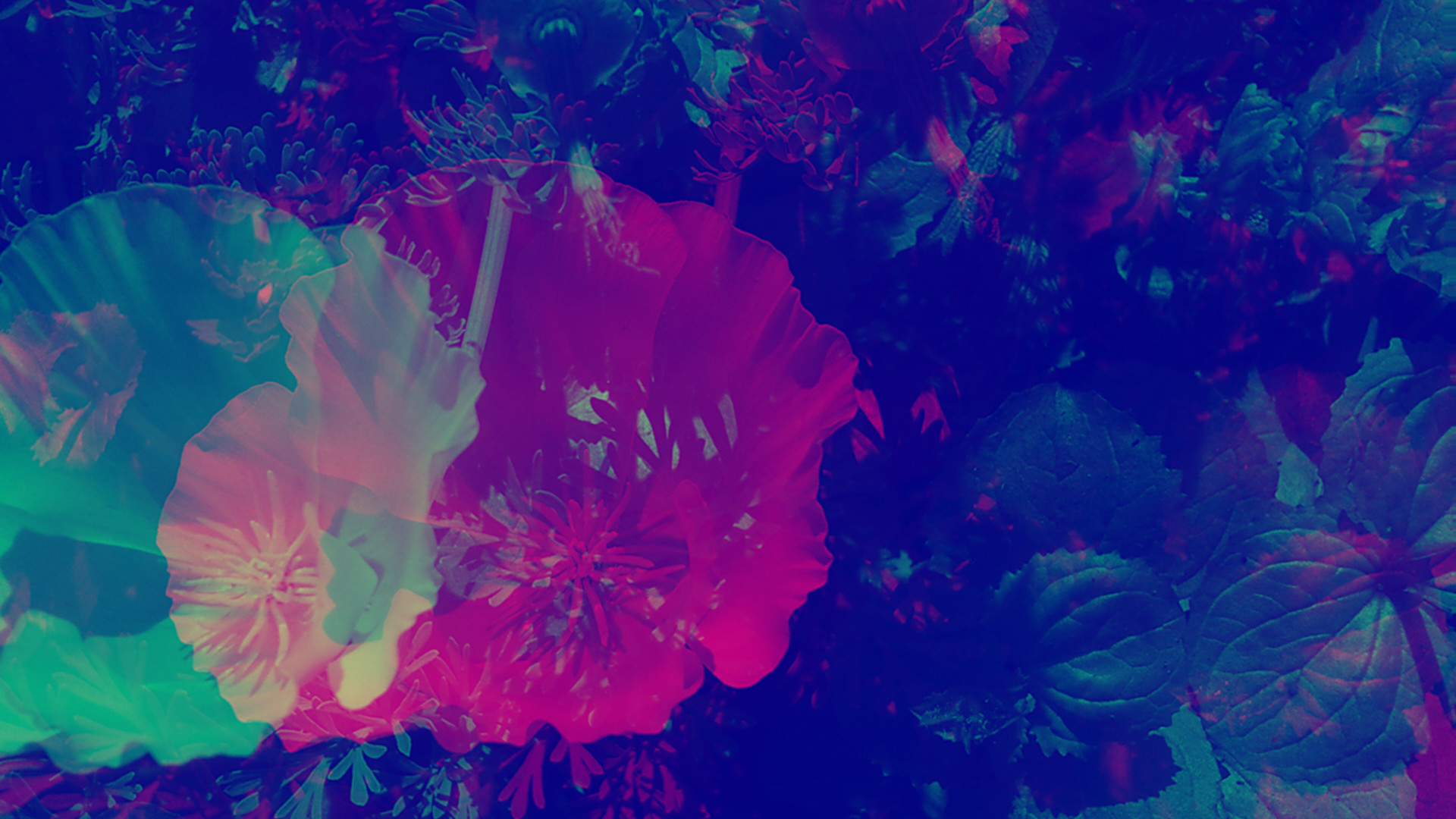 MPO (Nintendo 3DS / Fuji / Sony) to Anaglyph & Stereoscopic JPEG ...